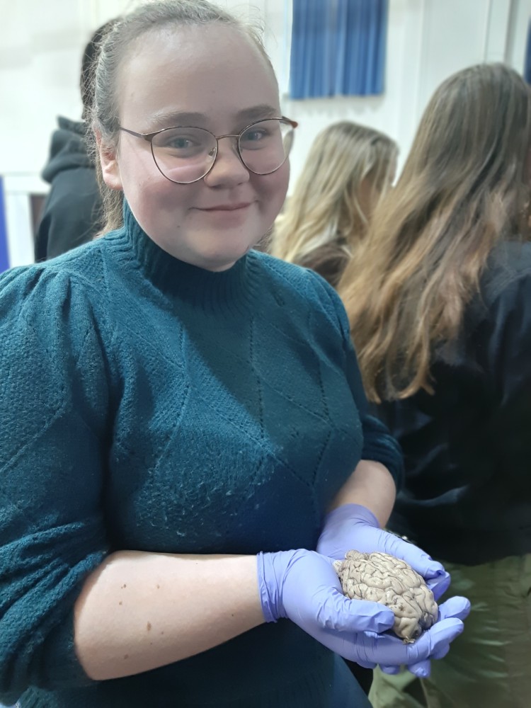 Godalming students enjoyed Brain Day
