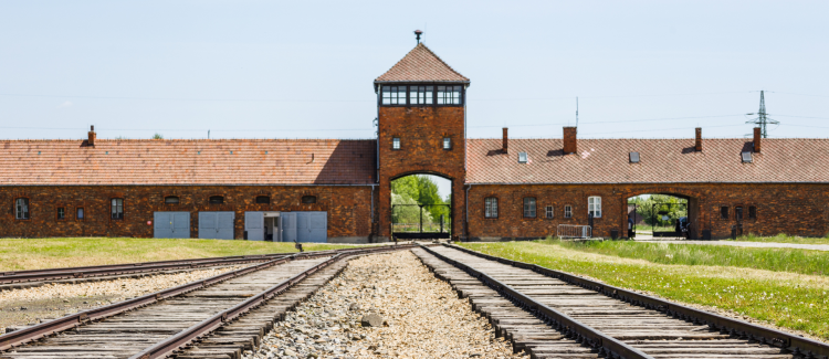 Godalming College students visit Auschwitz