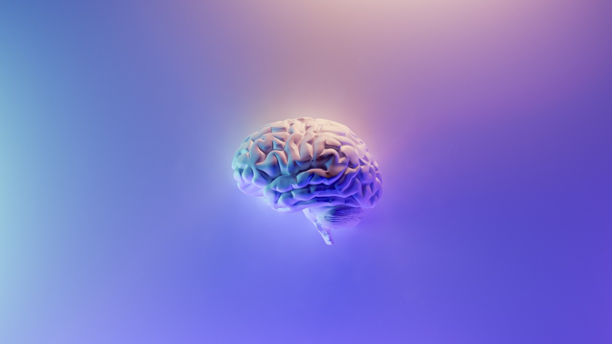 Understanding The Teenage Brain: Parents Workshop